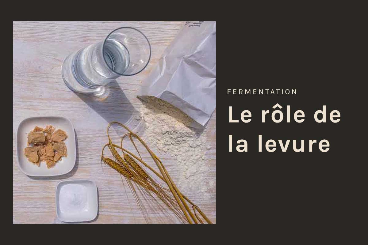 Le rôle de la levure dans le pain - Boulangerie fait-maison